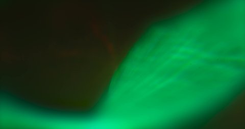 Red Green Blue Lens Flares Light Stock Footage Video (100% Royalty-free ...