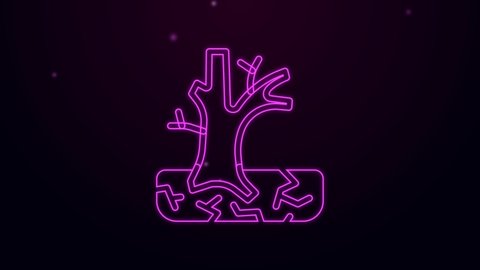 2,495 Black Oak Background Stock Video Footage - 4K and HD Video Clips ...