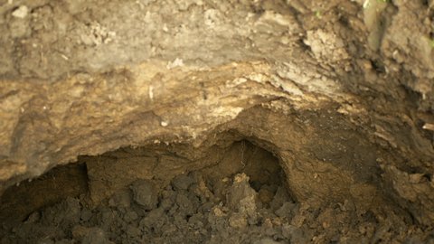 Fields Subsoil Erosion Damage Tractor Track Stock Footage Video (100% ...