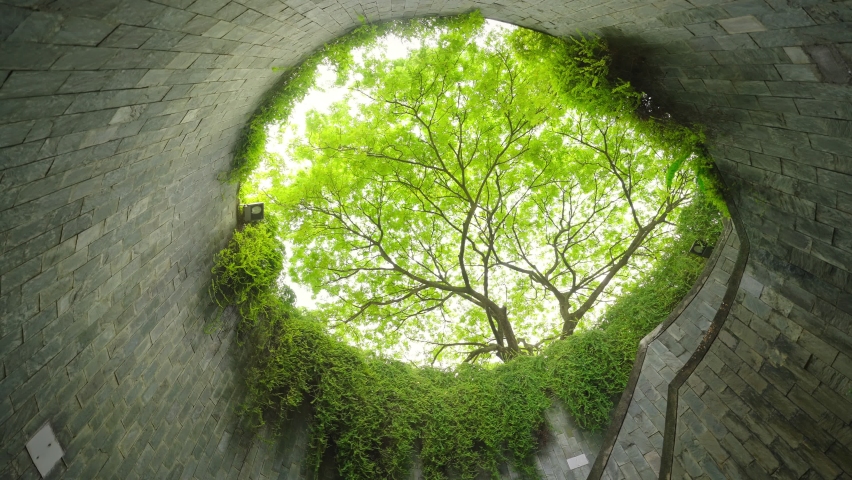 12,698 Open Gate Stock Video Footage - 4K and HD Video Clips | Shutterstock