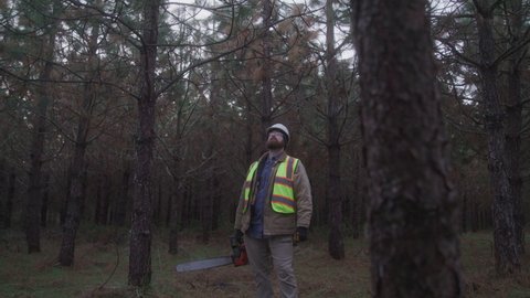 Logger Beard Safety Gear Looks Trees Stock Footage Video (100% Royalty ...