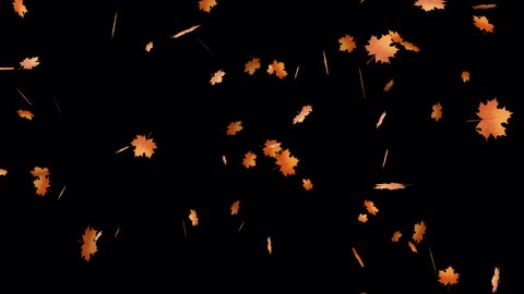 415 Autumn Leaves Falling Transparent Background Stock Video Footage ...