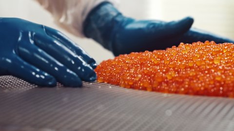 413 Caviar Processing Stock Video Footage - 4K and HD Video Clips ...