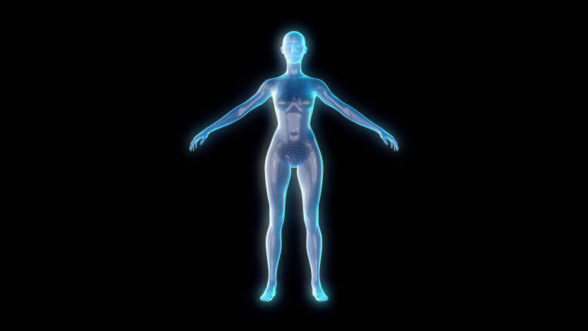 36,131 Human Body 3d Stock Video Footage - 4K and HD Video Clips ...