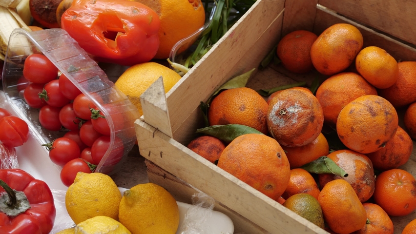 Food Waste Videos: 4K and HD Video Clips for Download