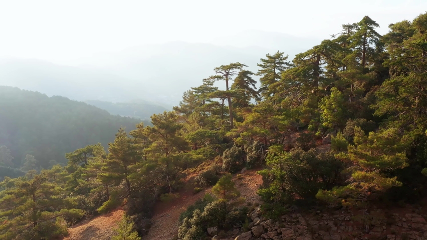 Forest and Hills in Cyprus image - Free stock photo - Public Domain ...