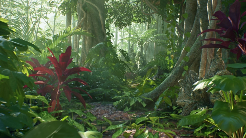 Free Jungle Stock Video Footage: Download No Copyright Clips