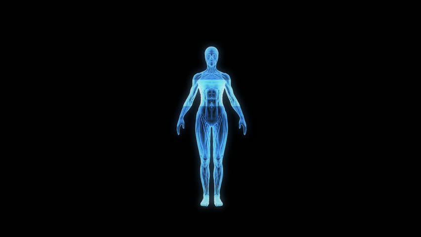 Download Human Anatomy HUD Pack 200+ - Videohive - aedownload.com