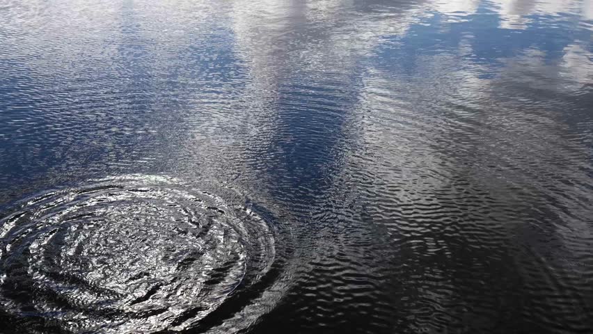 429,428 Ripples Stock Video Footage - 4K and HD Video Clips | Shutterstock