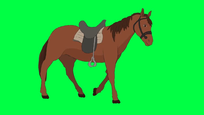 211,411 Horse Stock Video Footage - 4K and HD Video Clips | Shutterstock