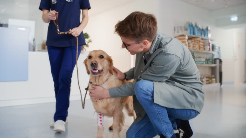 21,326 Vet With Pet Stock Video Footage - 4K and HD Video Clips ...