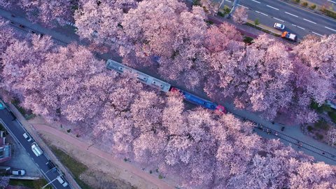 Spring in Motion Stock Photos, Royalty-Free Images and Vectors ...