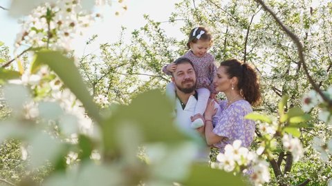 Spring in Motion Stock Photos, Royalty-Free Images and Vectors ...