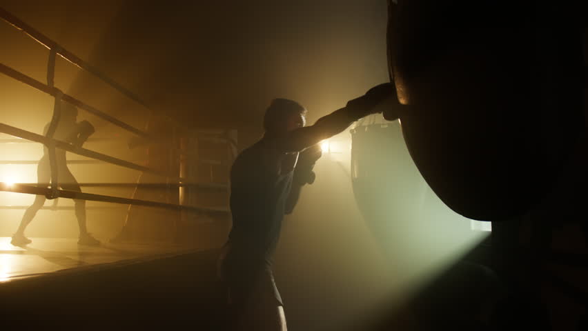 8,122 Mma Stock Video Footage - 4K and HD Video Clips | Shutterstock