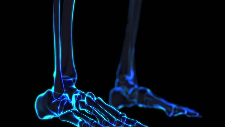 human skeleton different animated shots Stock Footage Video (100% ...