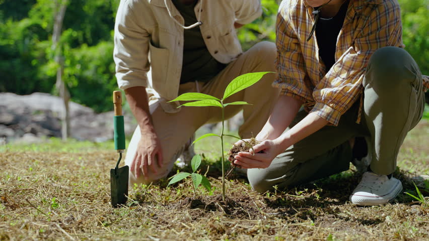 1,327,396 Planting Trees Stock Video Footage - 4K and HD Video Clips ...