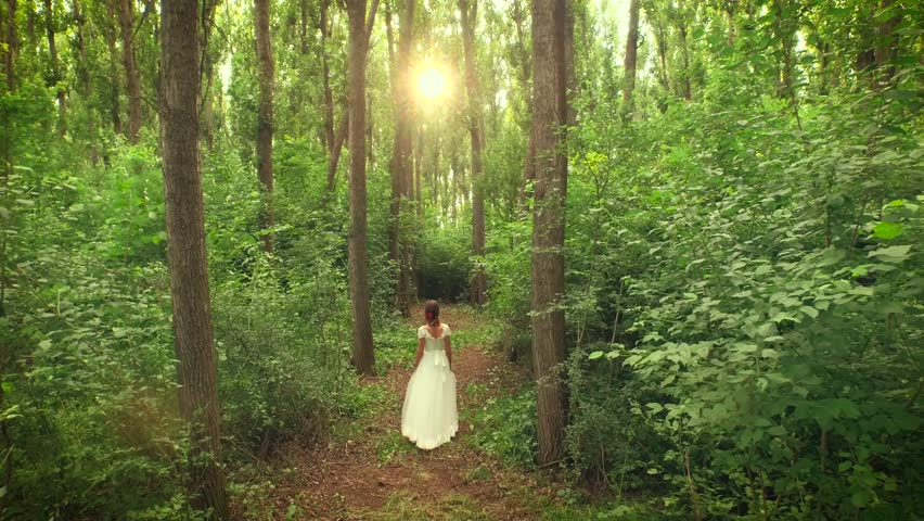 beautiful princess bride walking through forest Stock Footage Video ...