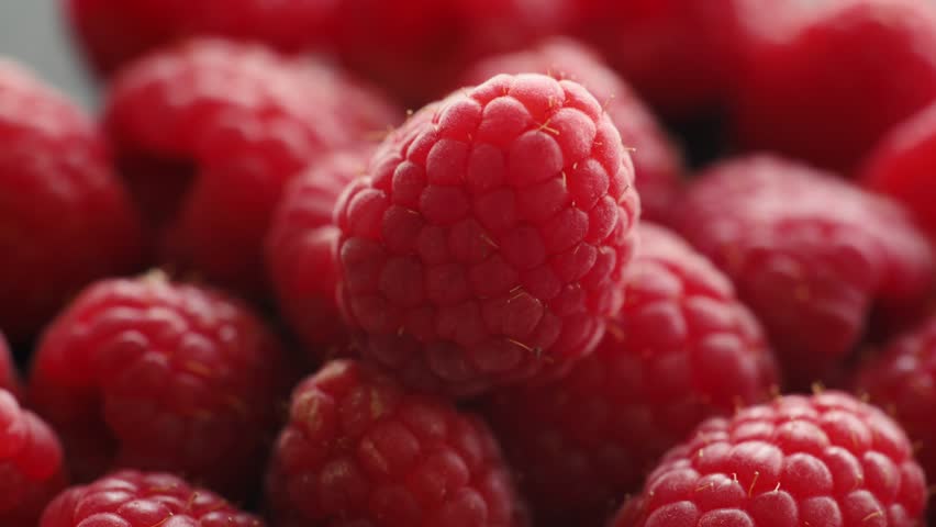 Free Raspberry Stock Video Footage: Download No Copyright Clips