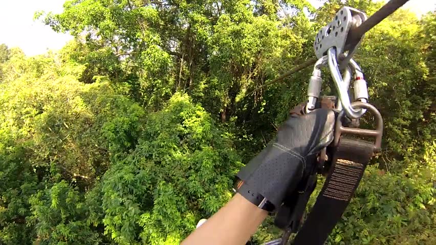 1,740 Zipline Stock Video Footage - 4K and HD Video Clips | Shutterstock