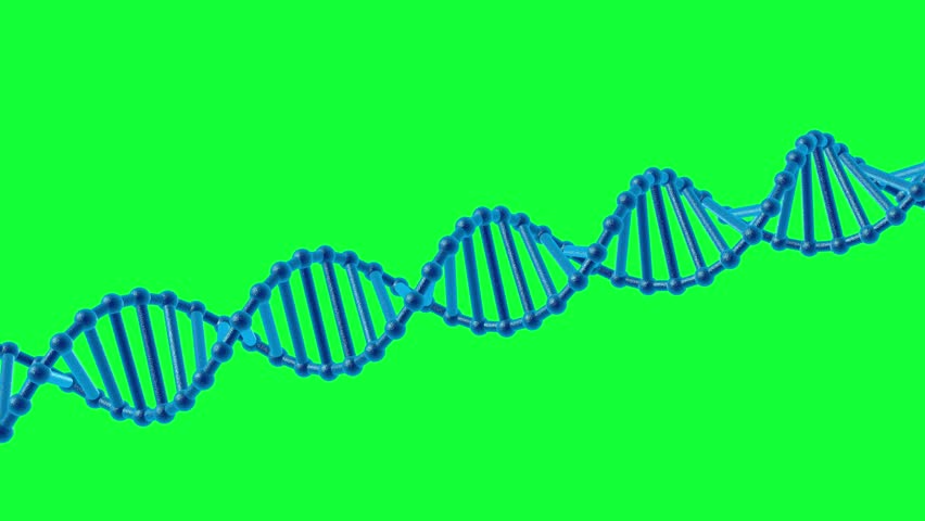 3d Animation of Dna On Stock Footage Video (100% Royalty-free) 11035937 ...