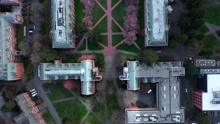 University of Washington Quad in spring in Seattle image - Free stock ...