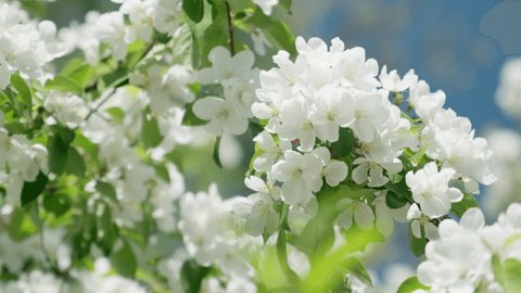 Spring in Motion Stock Photos, Royalty-Free Images and Vectors ...