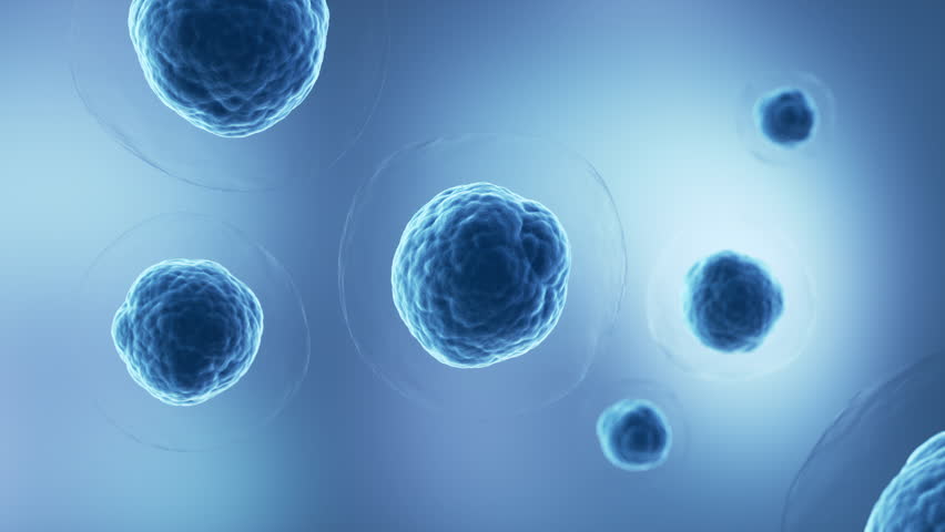 3,437 Plant Cell Structure Stock Video Footage - 4K and HD Video Clips ...