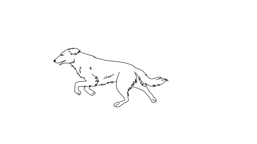 1,928 Running Dog Silhouette Stock Video Footage - 4K and HD Video ...