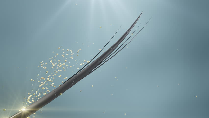 18,252 Hair Animation Stock Video Footage - 4K and HD Video Clips ...