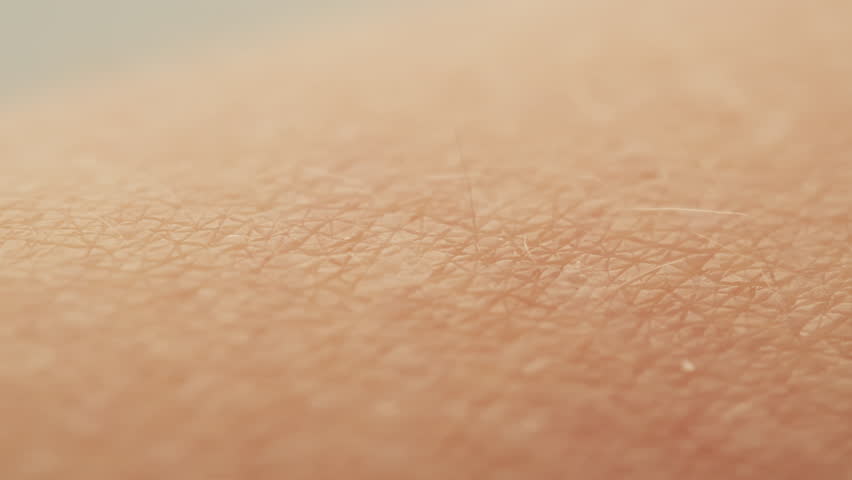 486 Good Skin Texture Stock Video Footage - 4K and HD Video Clips ...