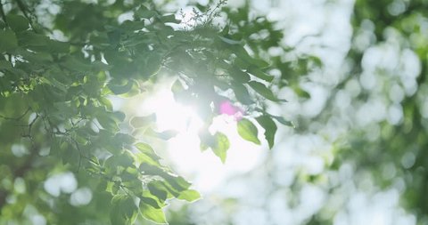 Spring in Motion Stock Photos, Royalty-Free Images and Vectors ...