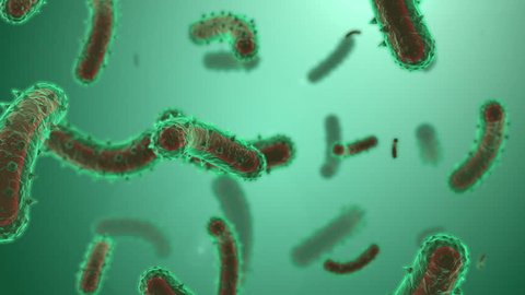 Rabies Virus Under Microscope