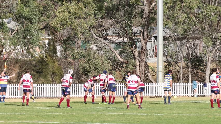 469 Afl Stock Video Footage - 4K and HD Video Clips | Shutterstock