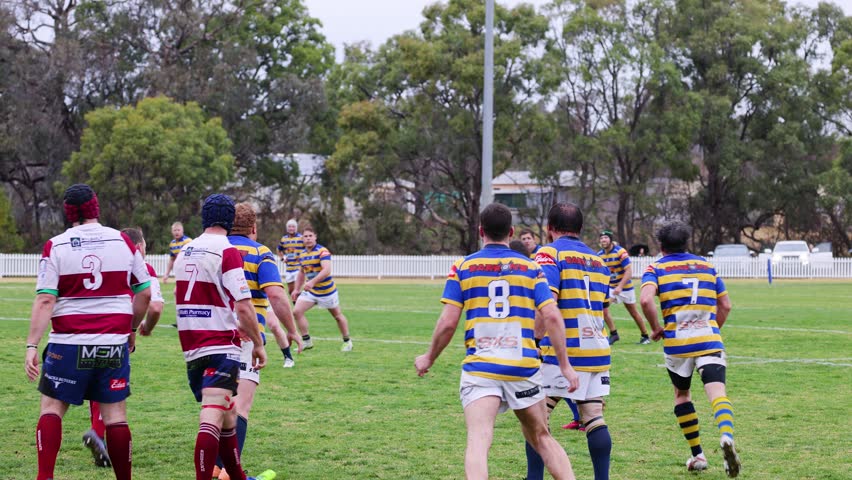 477 Afl Stock Video Footage - 4K and HD Video Clips | Shutterstock