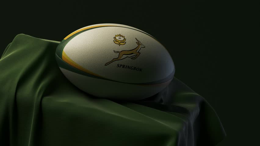 55 Springbok Rugby Players Stock Video Footage - 4K and HD Video Clips ...