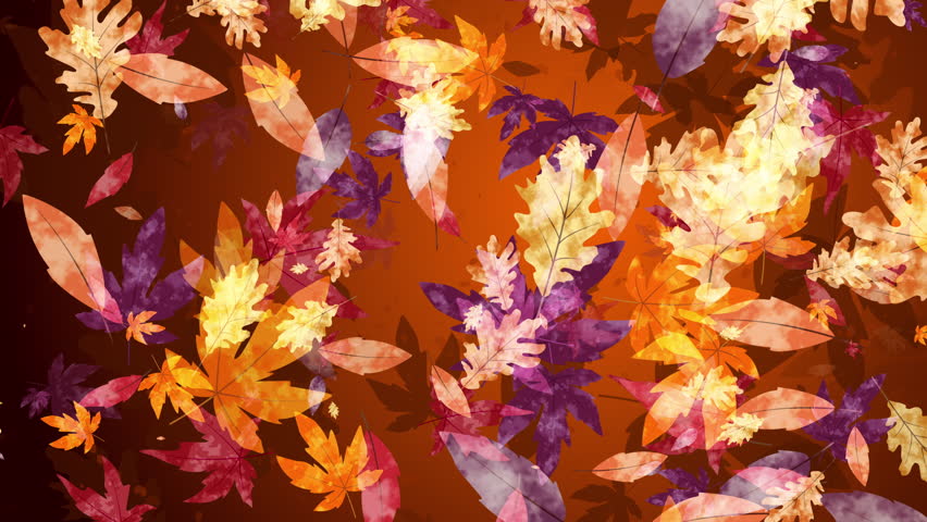 Falling Leaves Videos: 4K and HD Video Clips for Download