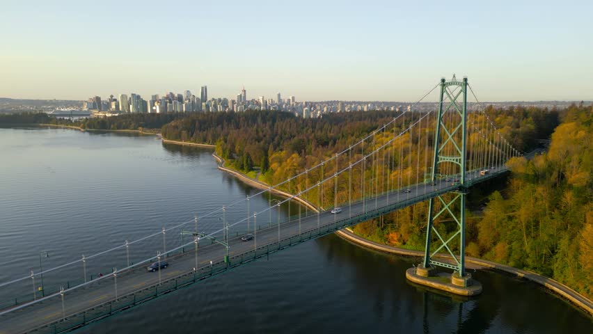 Aerial View of Bridge and Trees image - Free stock photo - Public ...