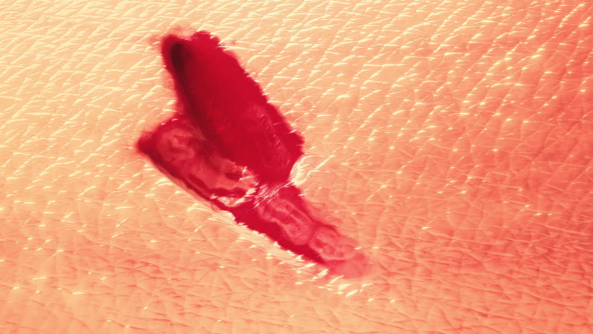 26,418 Bloody Stock Videos