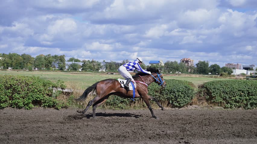 18,497 Horse Racing Stock Video Footage - 4K and HD Video Clips ...