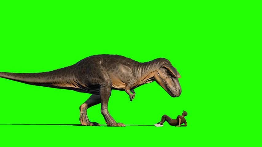 Dinosaur Stock Videos – Royalty-Free HD & 4K Videos | Pond5