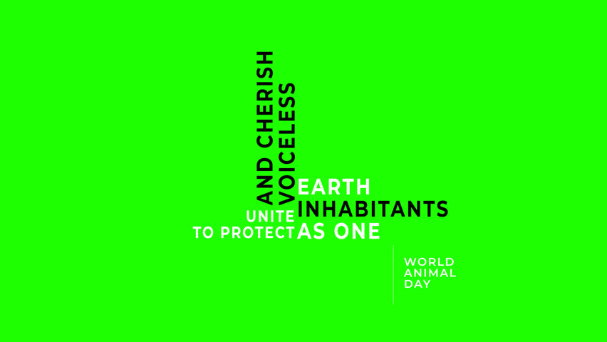 4K Logo Stock Footage ~ Royalty Free Stock Videos | Pond5