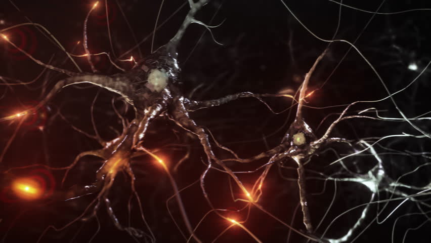 15,000 Neurons Stock Video Footage - 4K and HD Video Clips | Shutterstock