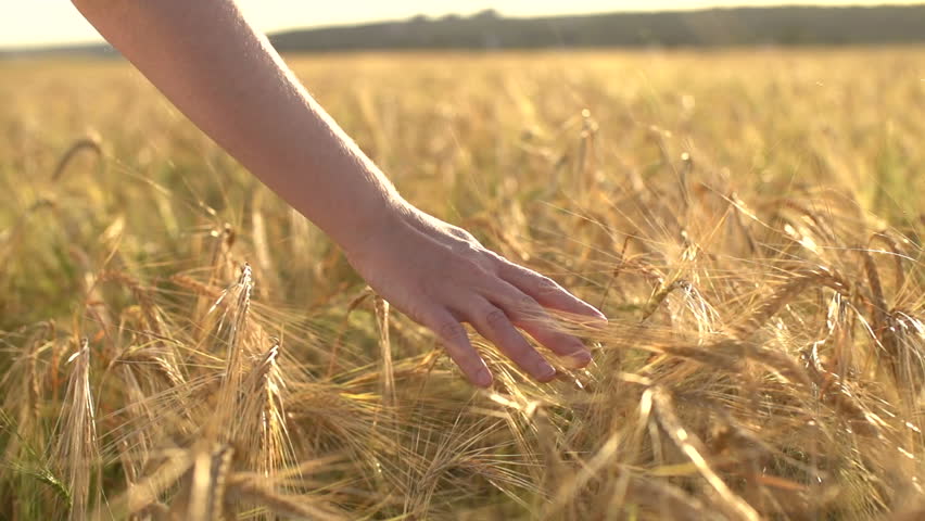 A Young Womans Hand Running Stock Footage Video (100% Royalty-free ...