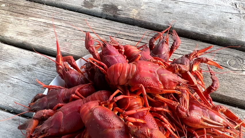 Crawfish Stock Video Footage | Royalty Free Crawfish Videos | Pond5