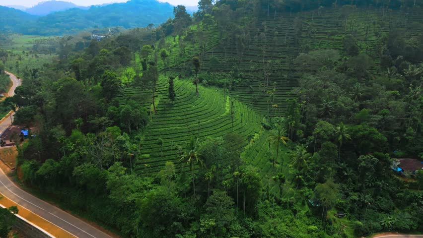 Wayanad Stock Videos – Royalty-Free HD & 4K Videos | Pond5