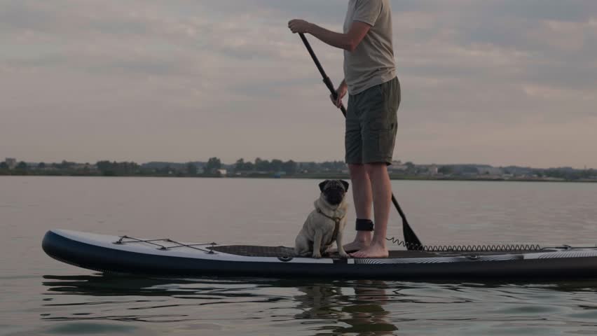 Pugging Stock Footage ~ Royalty Free Stock Videos | Pond5