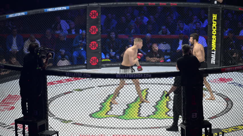 387 Ufc Stock Video Footage - 4K and HD Video Clips | Shutterstock