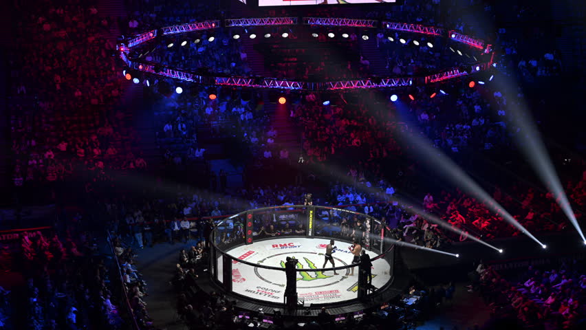 11 Ufc Silhouette Stock Video Footage - 4K and HD Video Clips ...