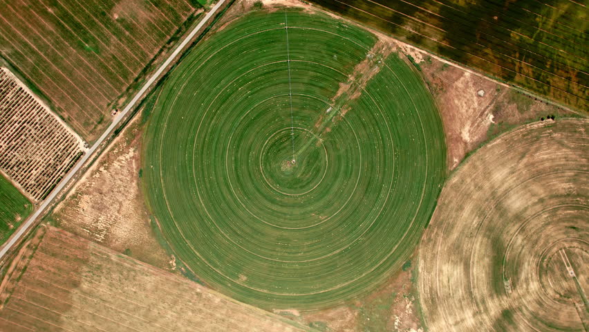 Overhead view of circular irrigated crops in Spain's fields. | freepik