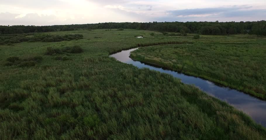 Minnesota Marsh River 004 Stock Footage Video (100% Royalty-free ...